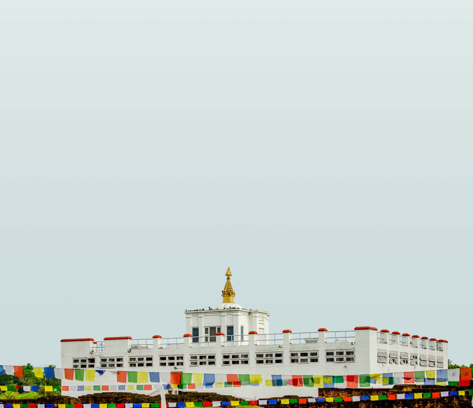 Home - Dhamma Digital