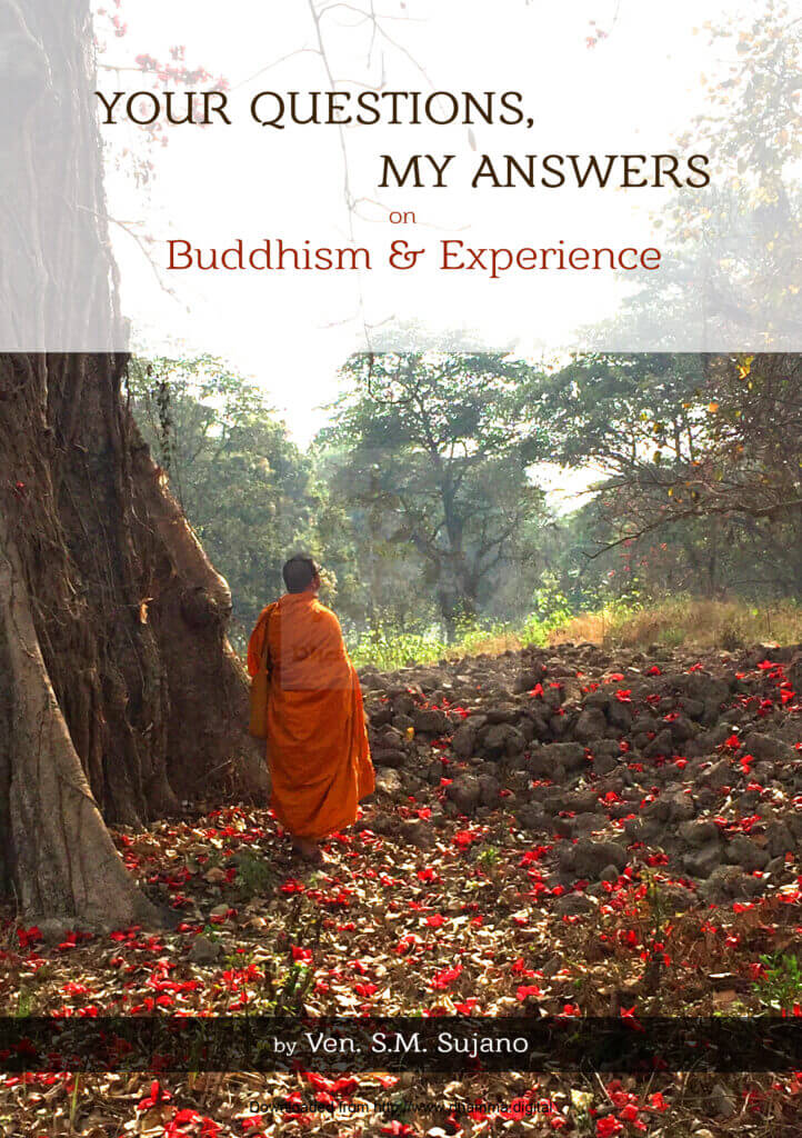Your Questions, My Answers on Buddhism and Experience - Dhamma Digital